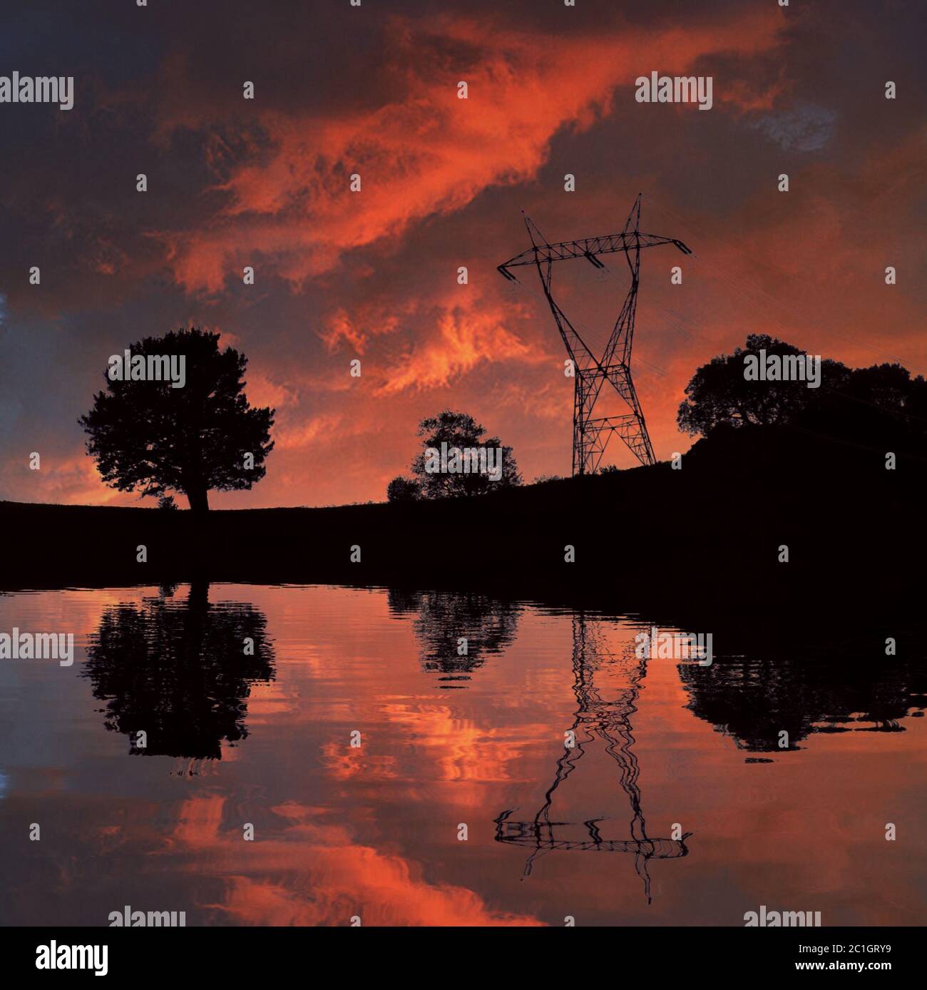 tree and sunset in the mountain in the nature Stock Photo - Alamy