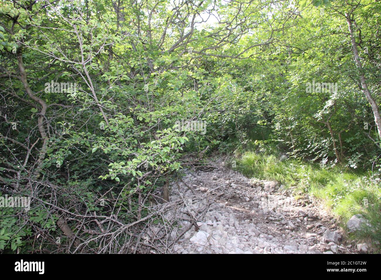 Hiking path through mountains. Trekking mountain trail Stock Photo - Alamy