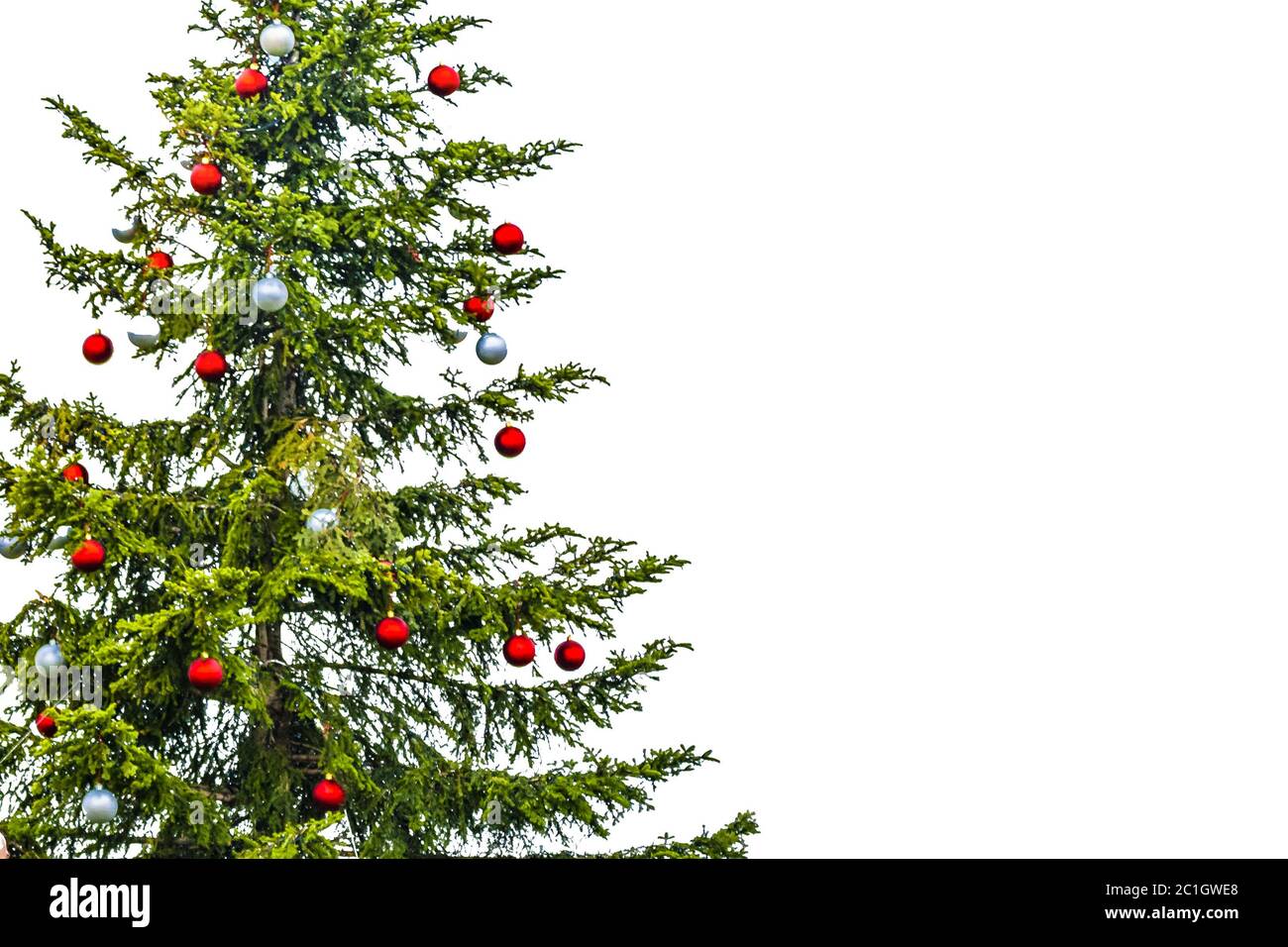 Christmas Tree Isolated Stock Photo - Alamy