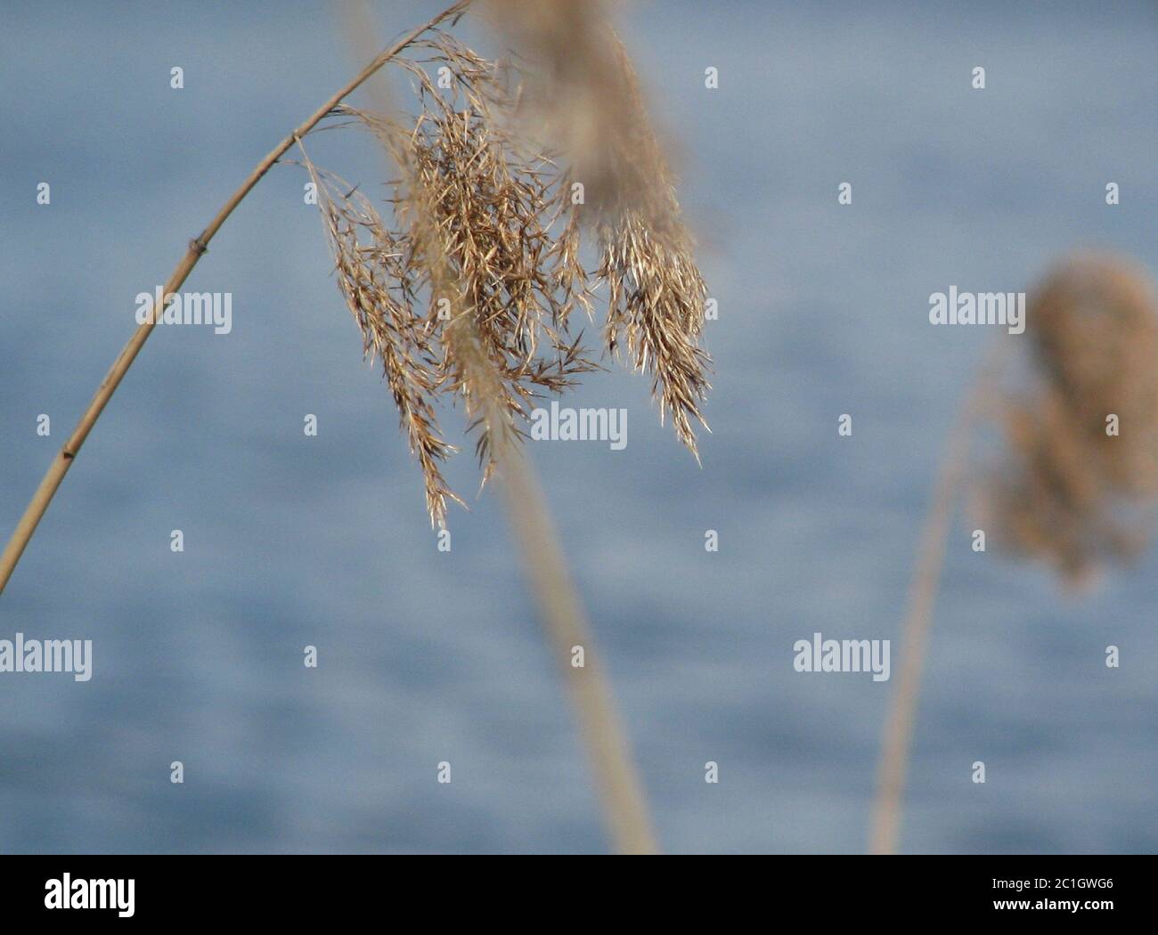 Wakacje hi-res stock photography and images - Alamy