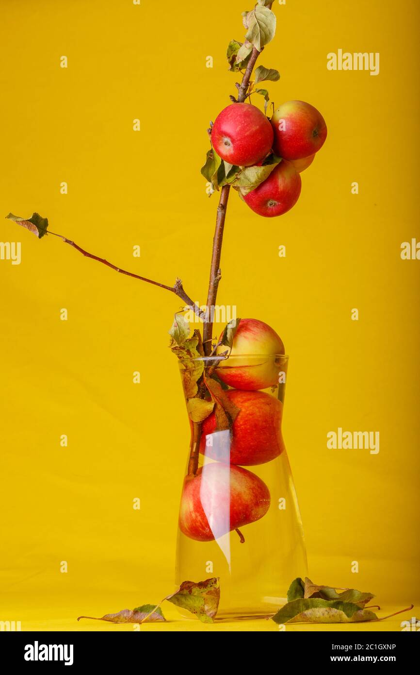 Vase with apples hi-res stock photography and images - Alamy