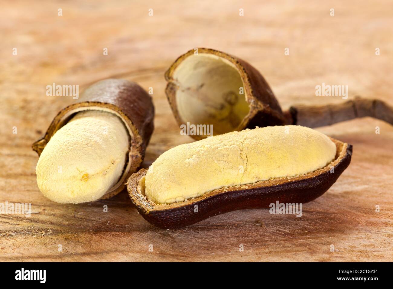 Jatoba do cerrado - West indian locust fruit sement tree - Hymenaea ...