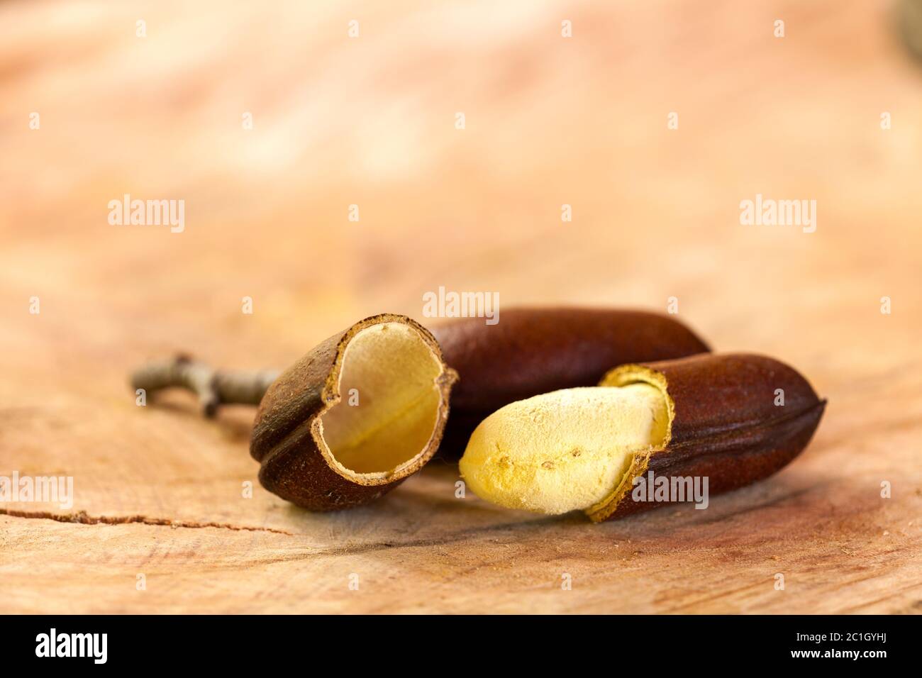 Cerrado brazil indigenous hi-res stock photography and images - Alamy