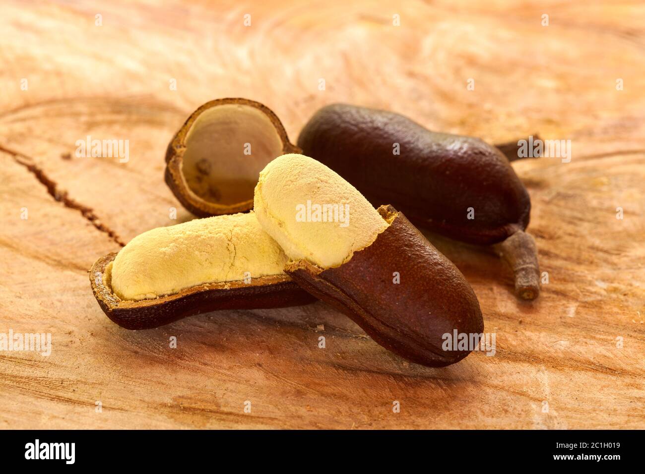 Jatoba do cerrado - West indian locust fruit sement tree - Hymenaea ...