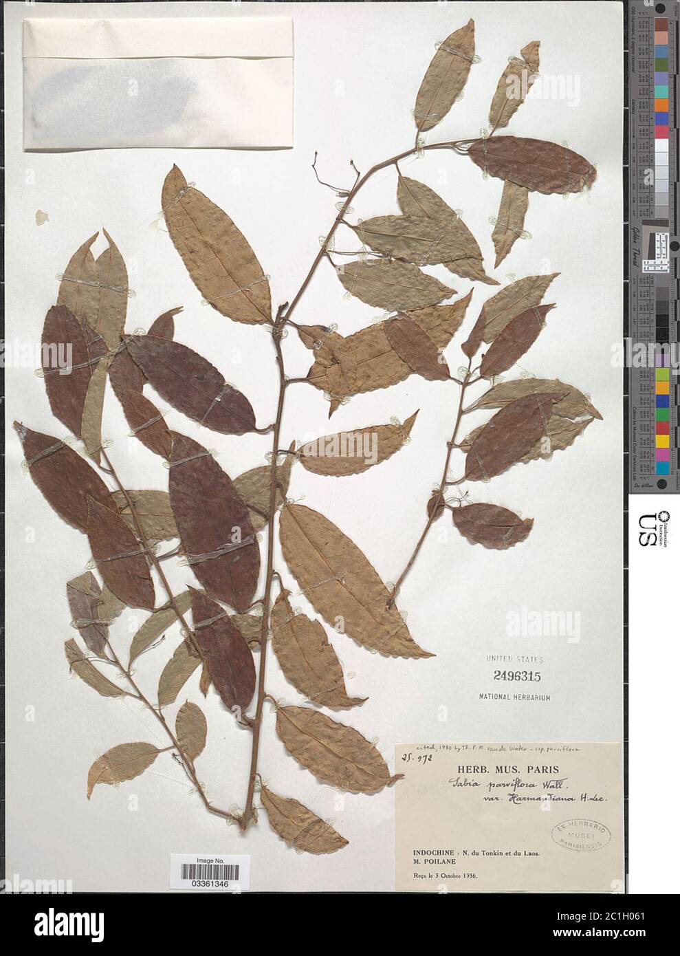 Wall ex roxb hi-res stock photography and images - Alamy