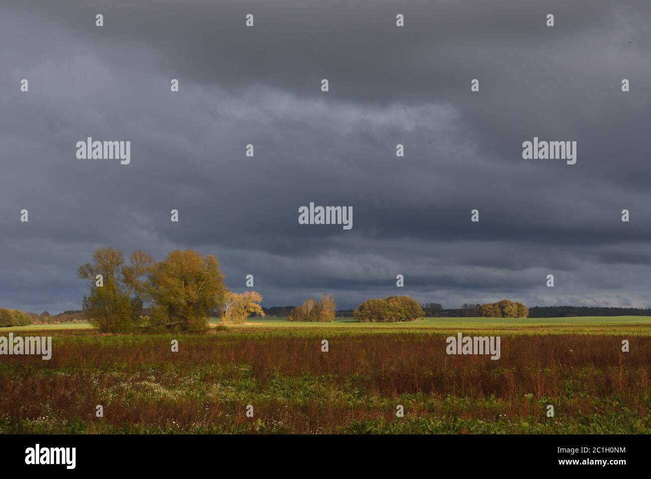 Thunderstorm field hi-res stock photography and images - Alamy