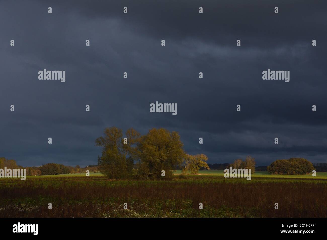 Thunderstorm field hi-res stock photography and images - Alamy