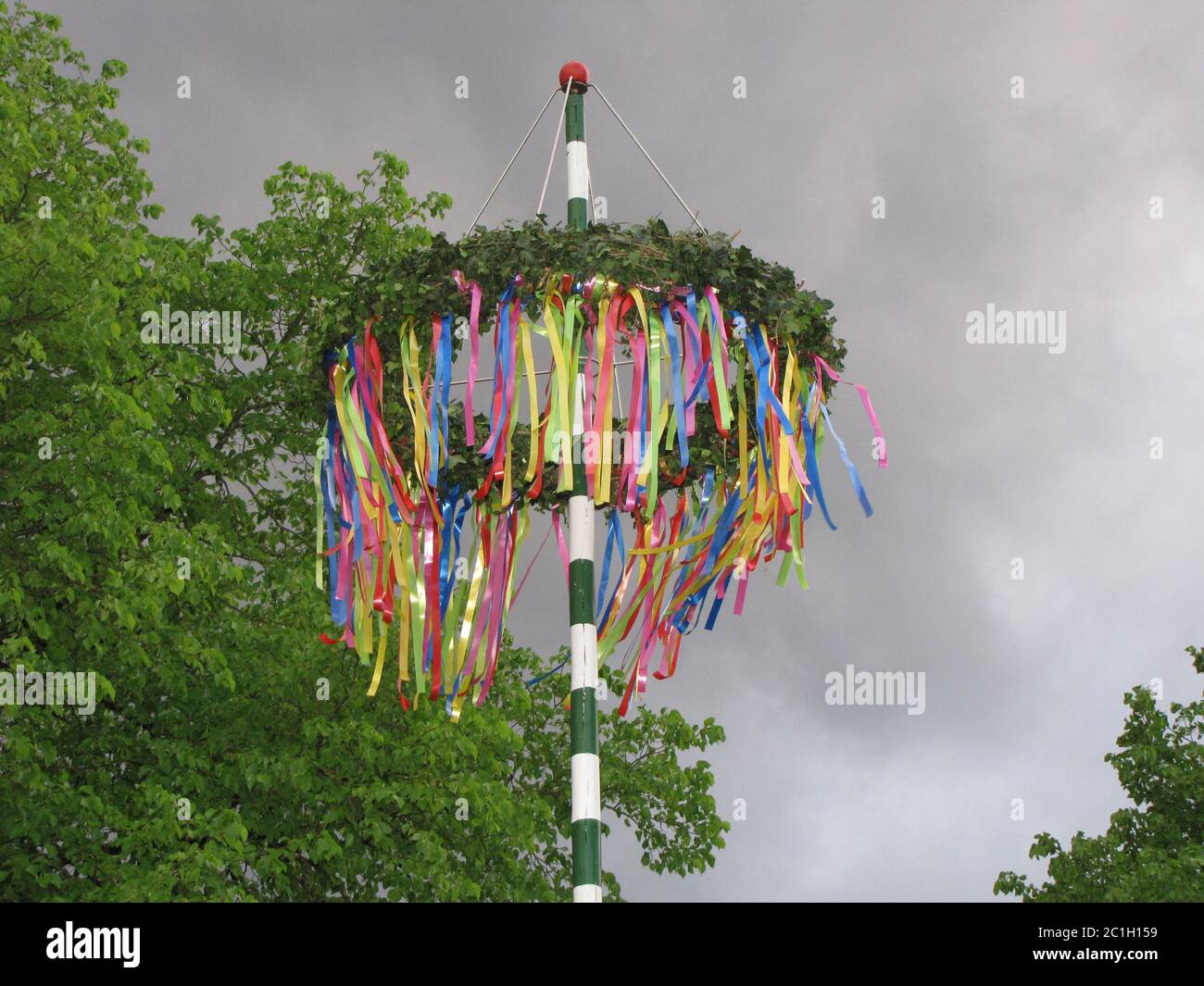 Maypole birch greenery for celebration of May festival Stock Photo - Alamy