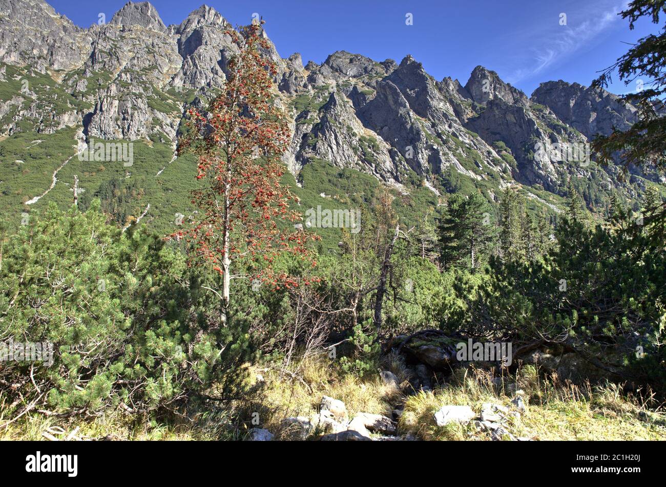Vysoka high tatras hi-res stock photography and images - Alamy