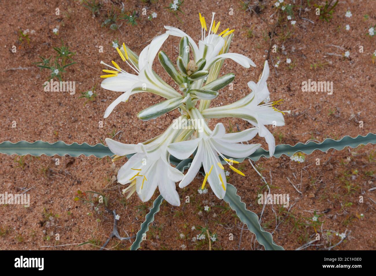 Mohawk valley hi-res stock photography and images - Alamy