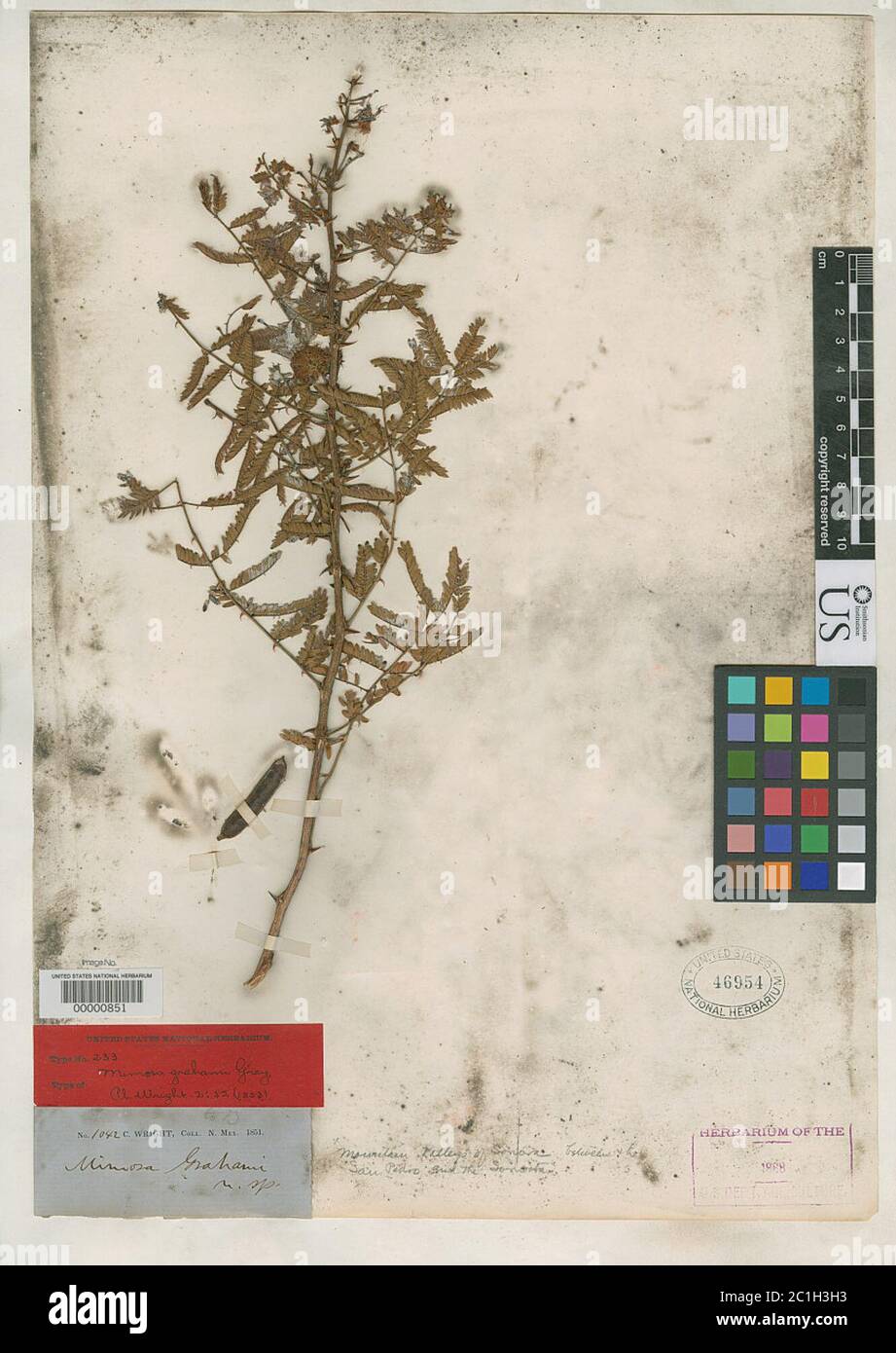 Grahami hi-res stock photography and images - Alamy