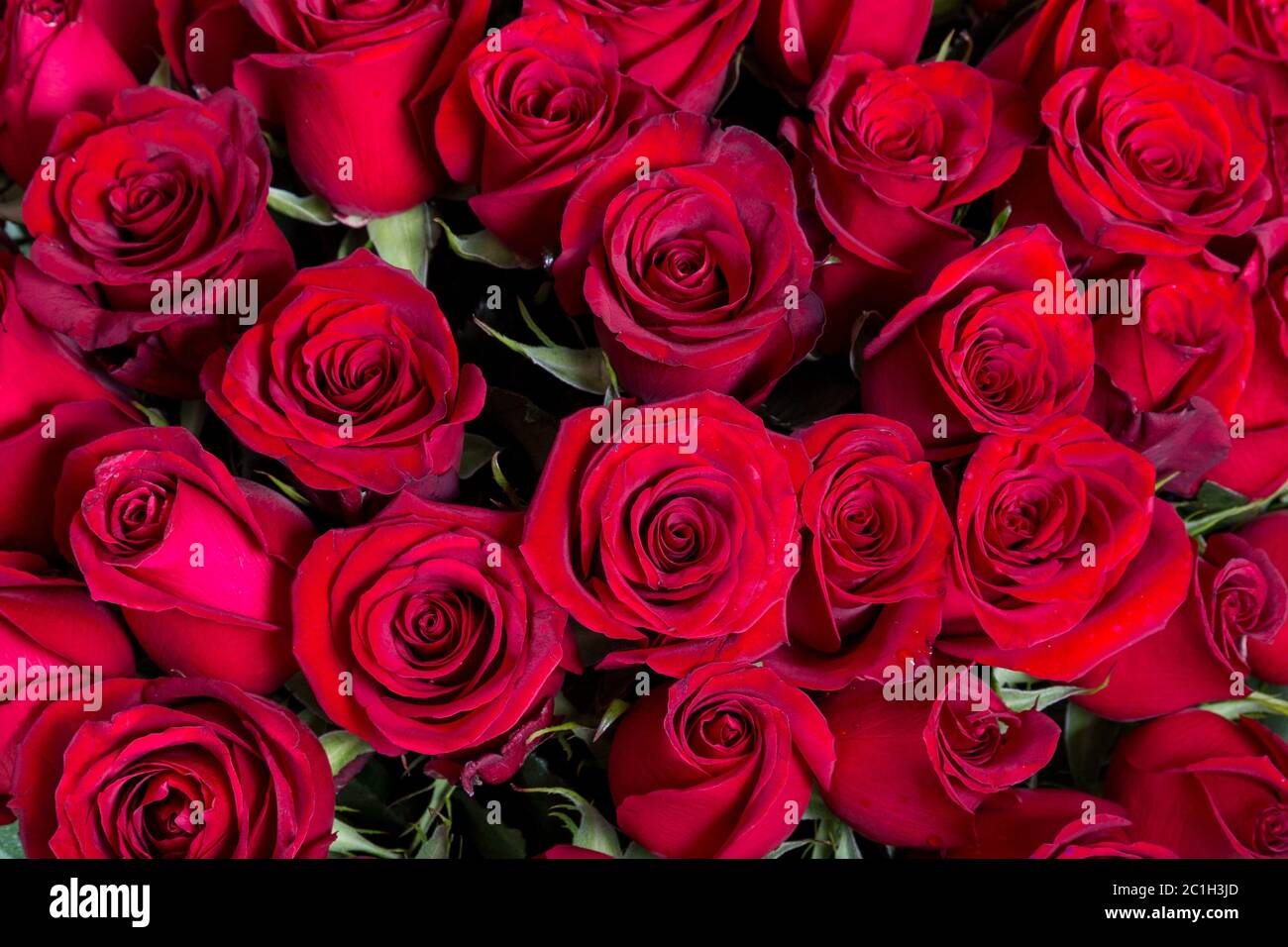 Natural red roses background Stock Photo - Alamy