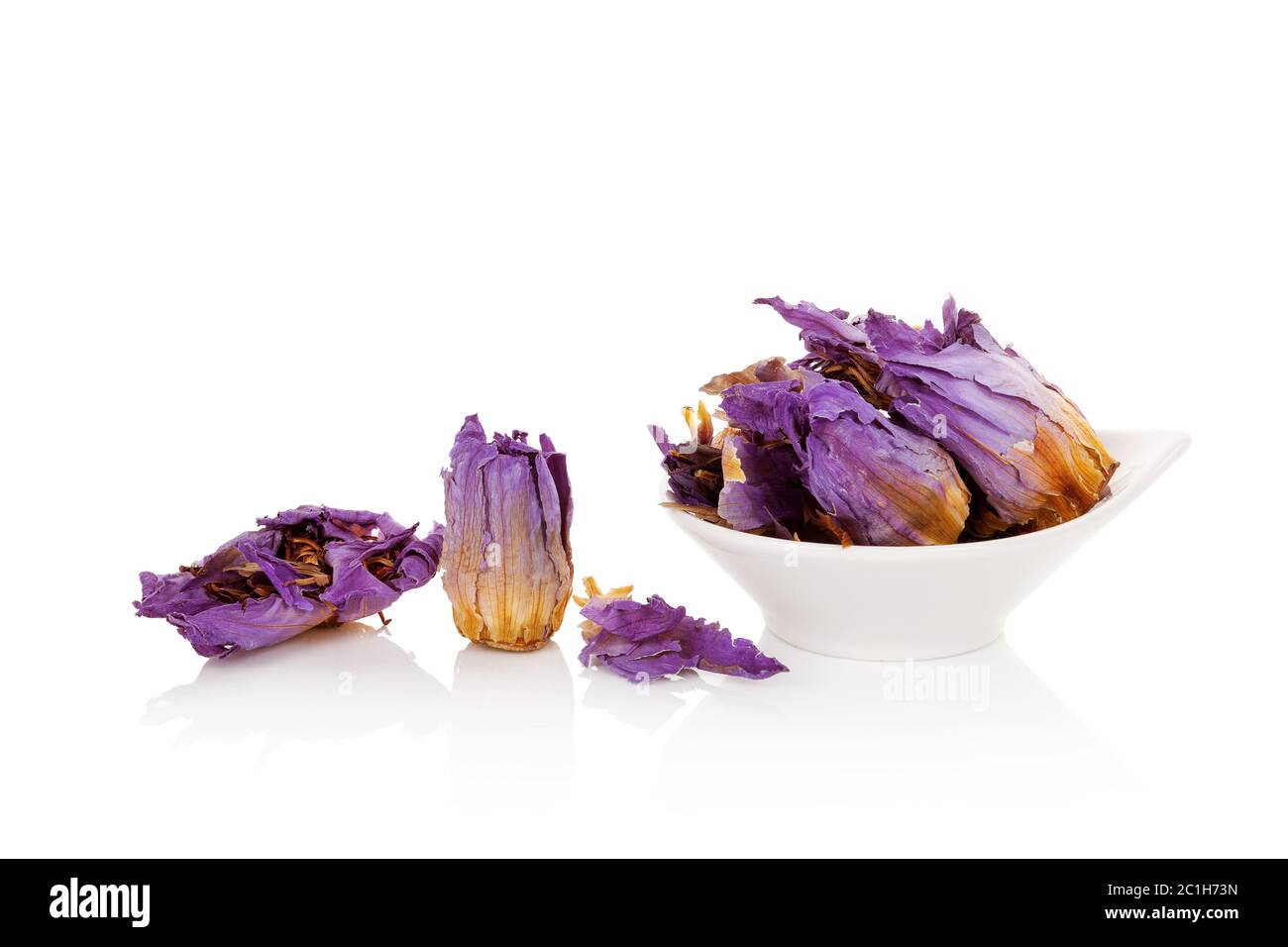 Egyptian blue lotus hi-res stock photography and images - Alamy