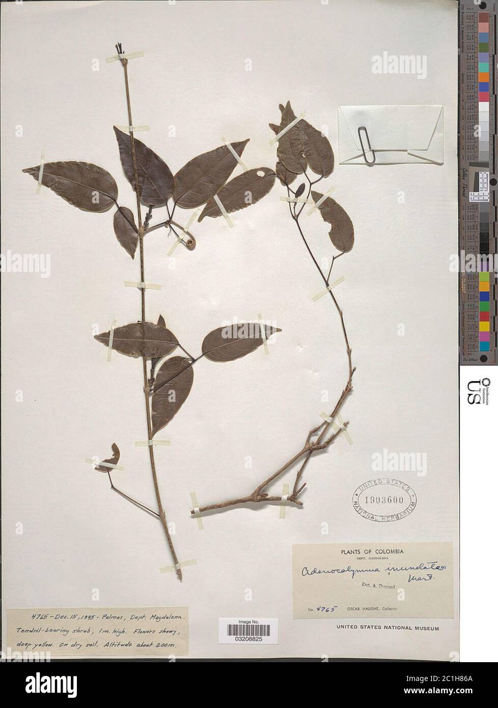 Inundatum hi-res stock photography and images - Alamy