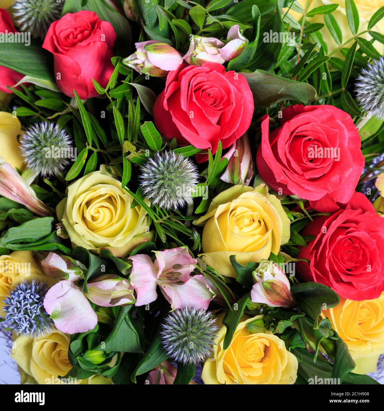 Abstract background of flowers. Close-up Stock Photo - Alamy