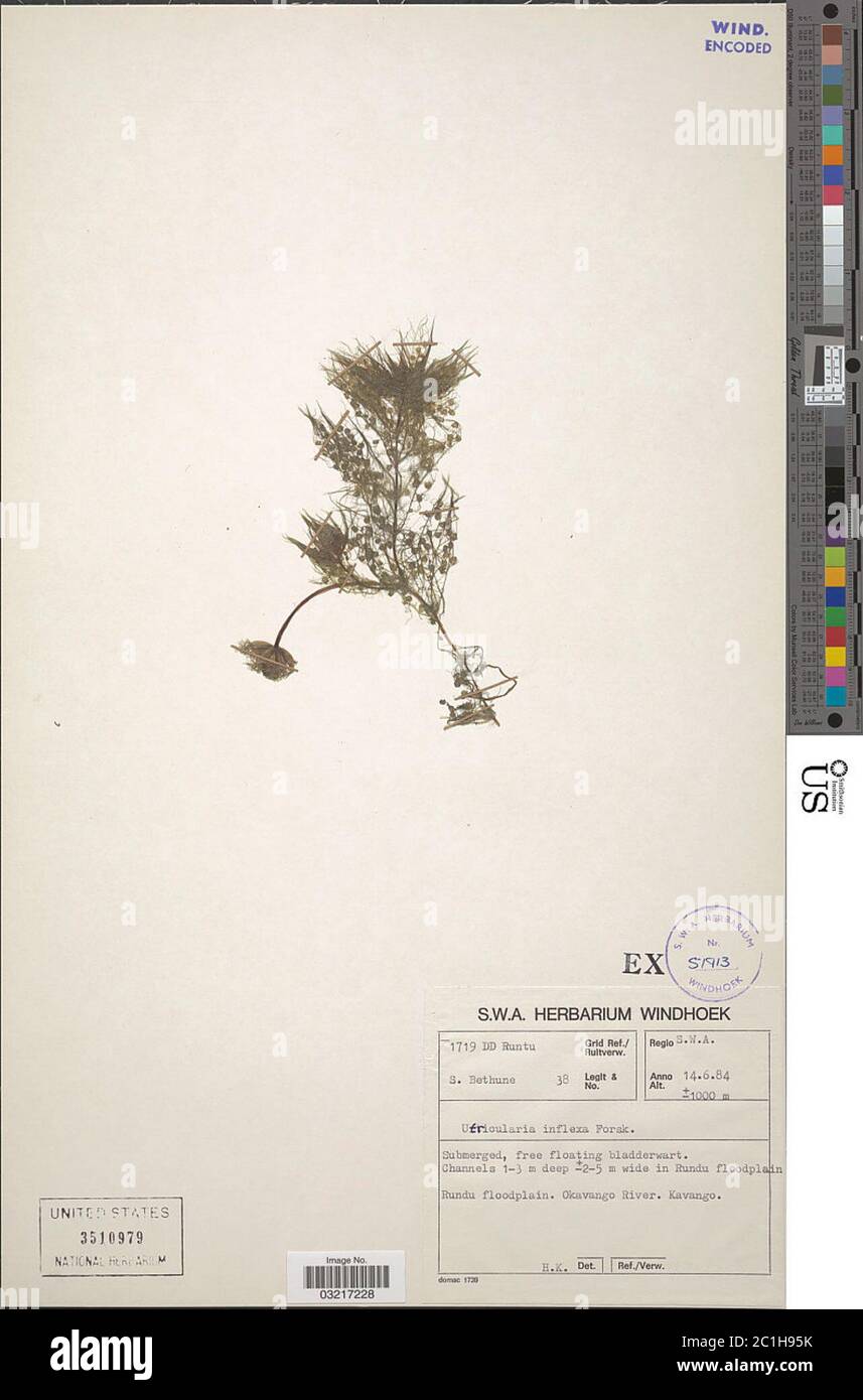 Inflexa hi-res stock photography and images - Alamy