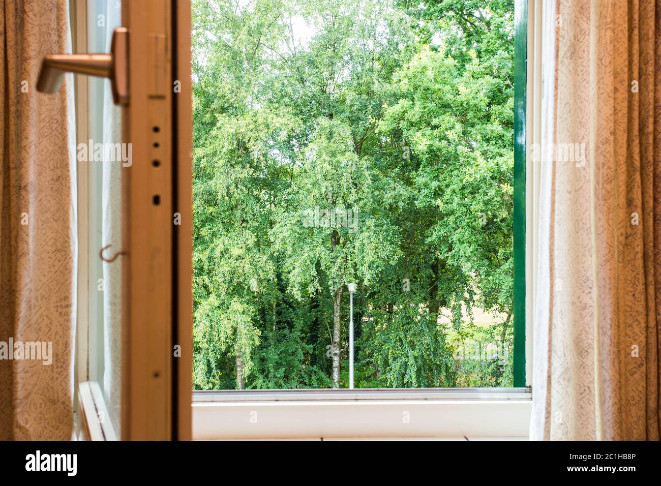 nature landscape with a view through a window with green trees Stock ...