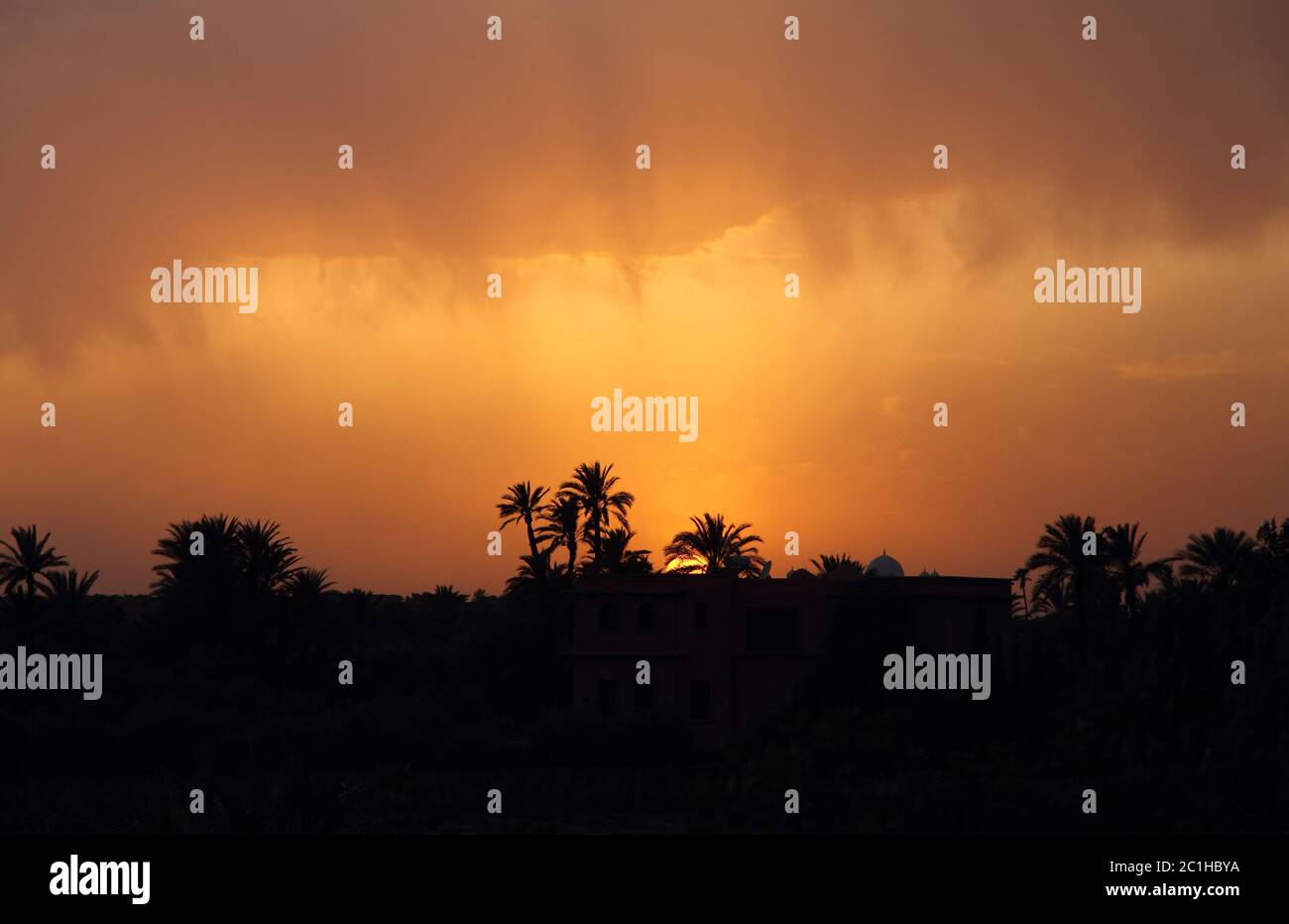 Morocco, Marrakesh, Palmeraie, beautiful sunset over the palm grove ...
