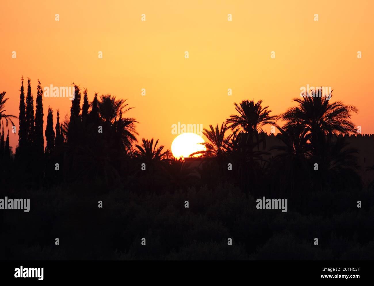 Morocco, Marrakesh, Palmeraie, beautiful sunset over the palm grove ...
