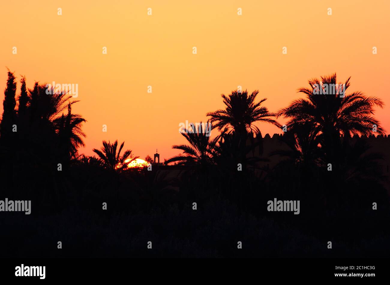 Morocco, Marrakesh, Palmeraie, beautiful sunset over the palm grove ...