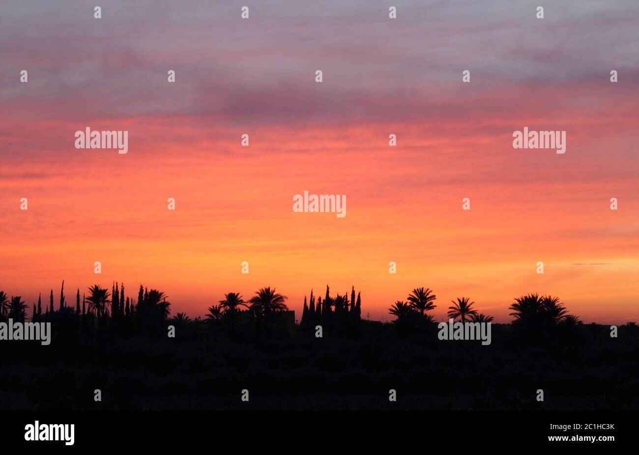 Morocco, Marrakesh, Palmeraie, beautiful sunset over the palm grove ...