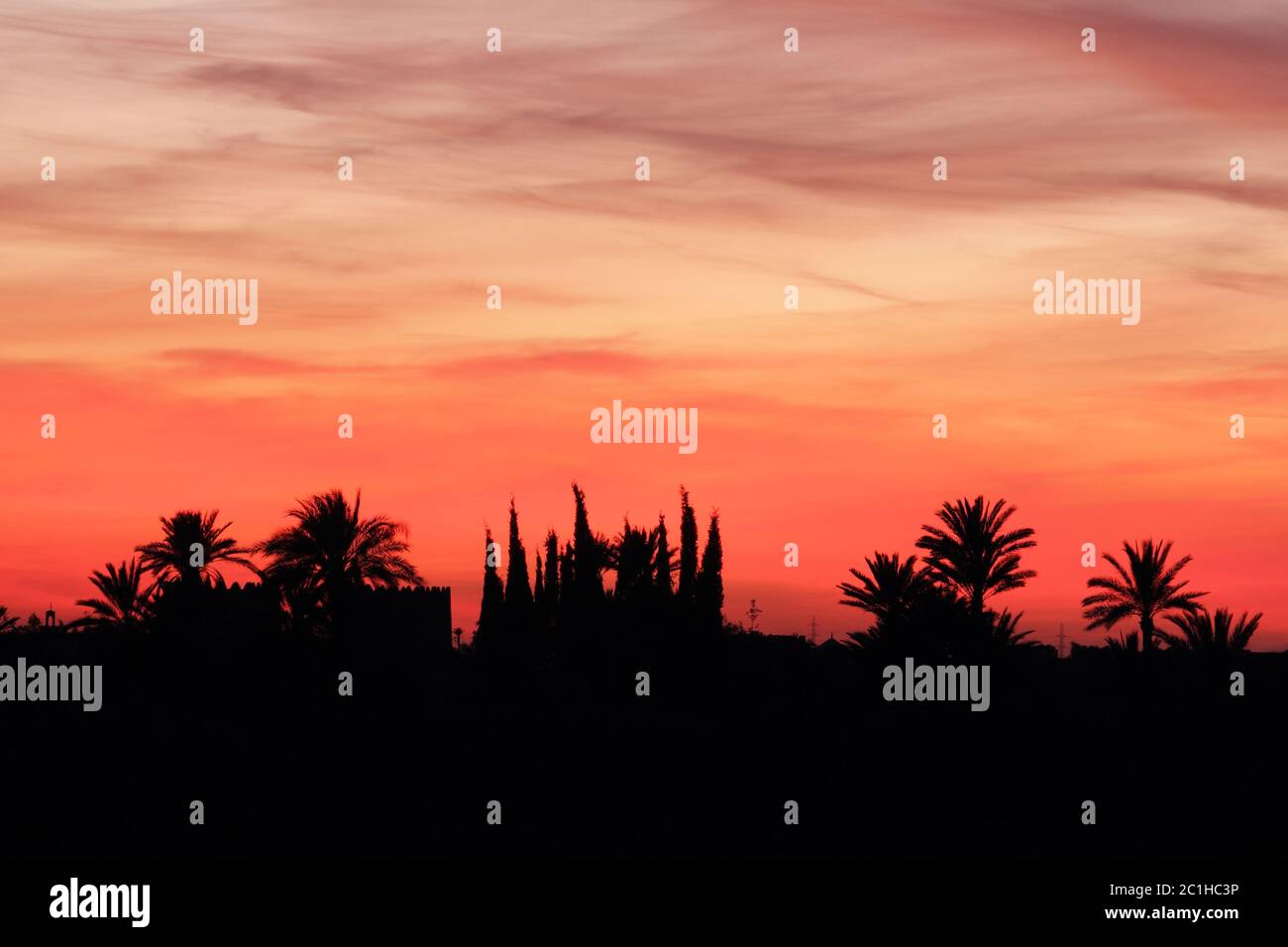 Morocco, Marrakesh, Palmeraie, beautiful sunset over the palm grove ...