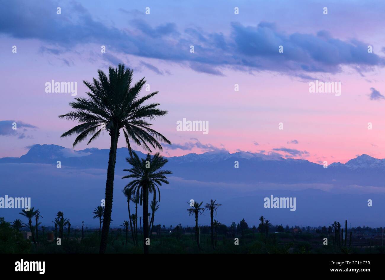 Morocco, Marrakesh, Palmeraie, sunset over the High Atlas Mountains and ...