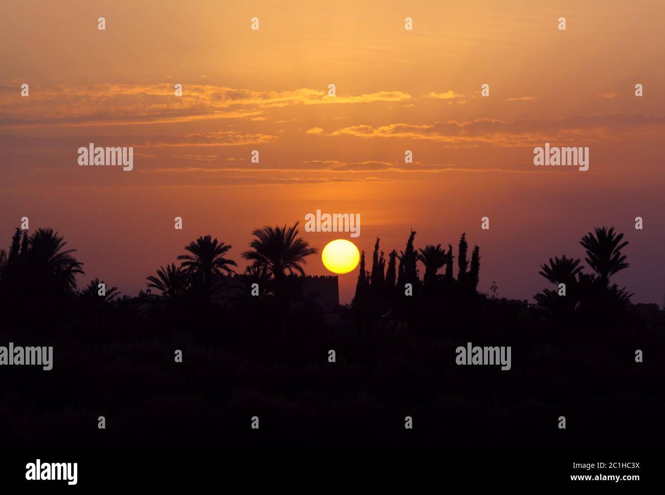 Morocco, Marrakesh, Palmeraie, beautiful sunset over the palm grove ...