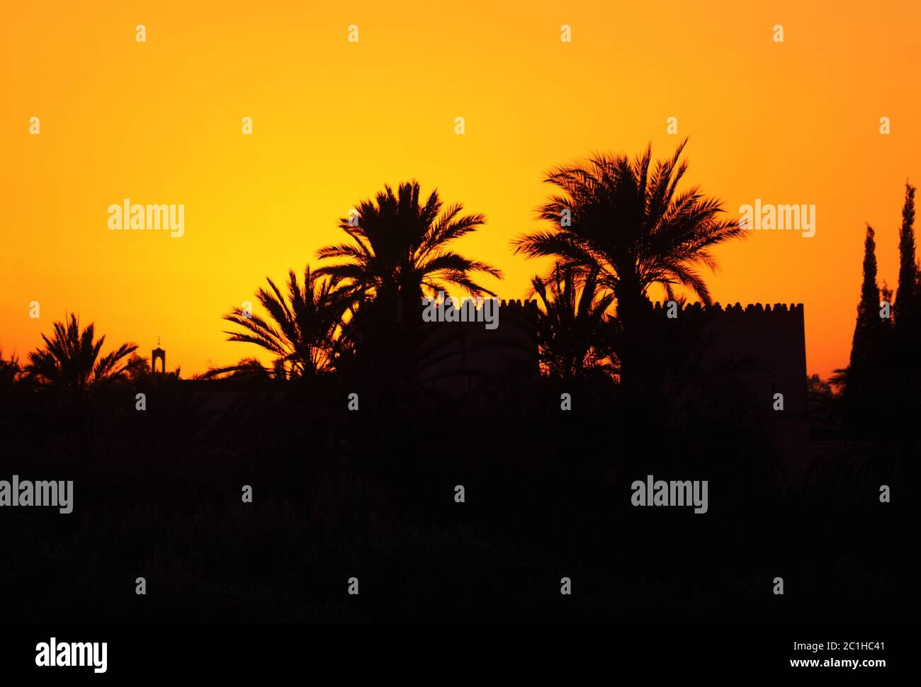 Morocco, Marrakesh, Palmeraie, beautiful sunset over the palm grove ...