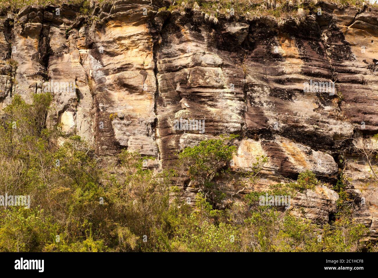 Quartzite cliff in Brazil Stock Photo - Alamy
