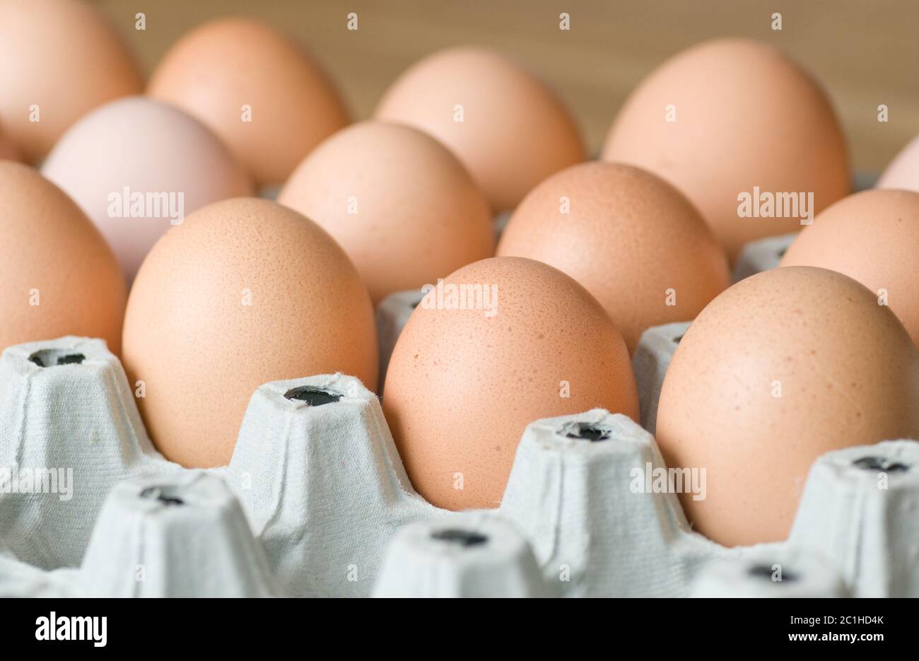 Bio egg hi-res stock photography and images - Alamy