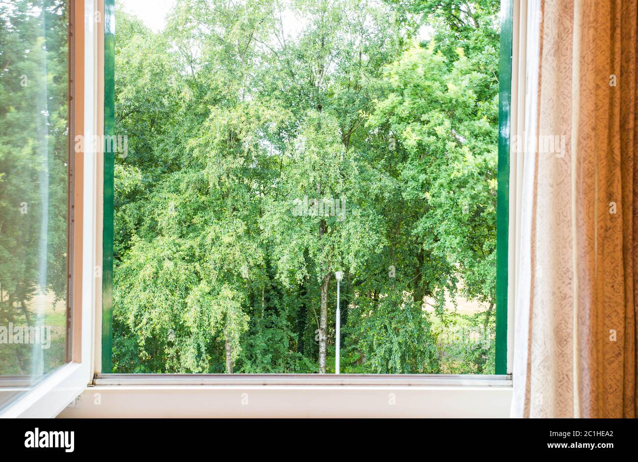 nature landscape with a view through a window with green trees Stock ...