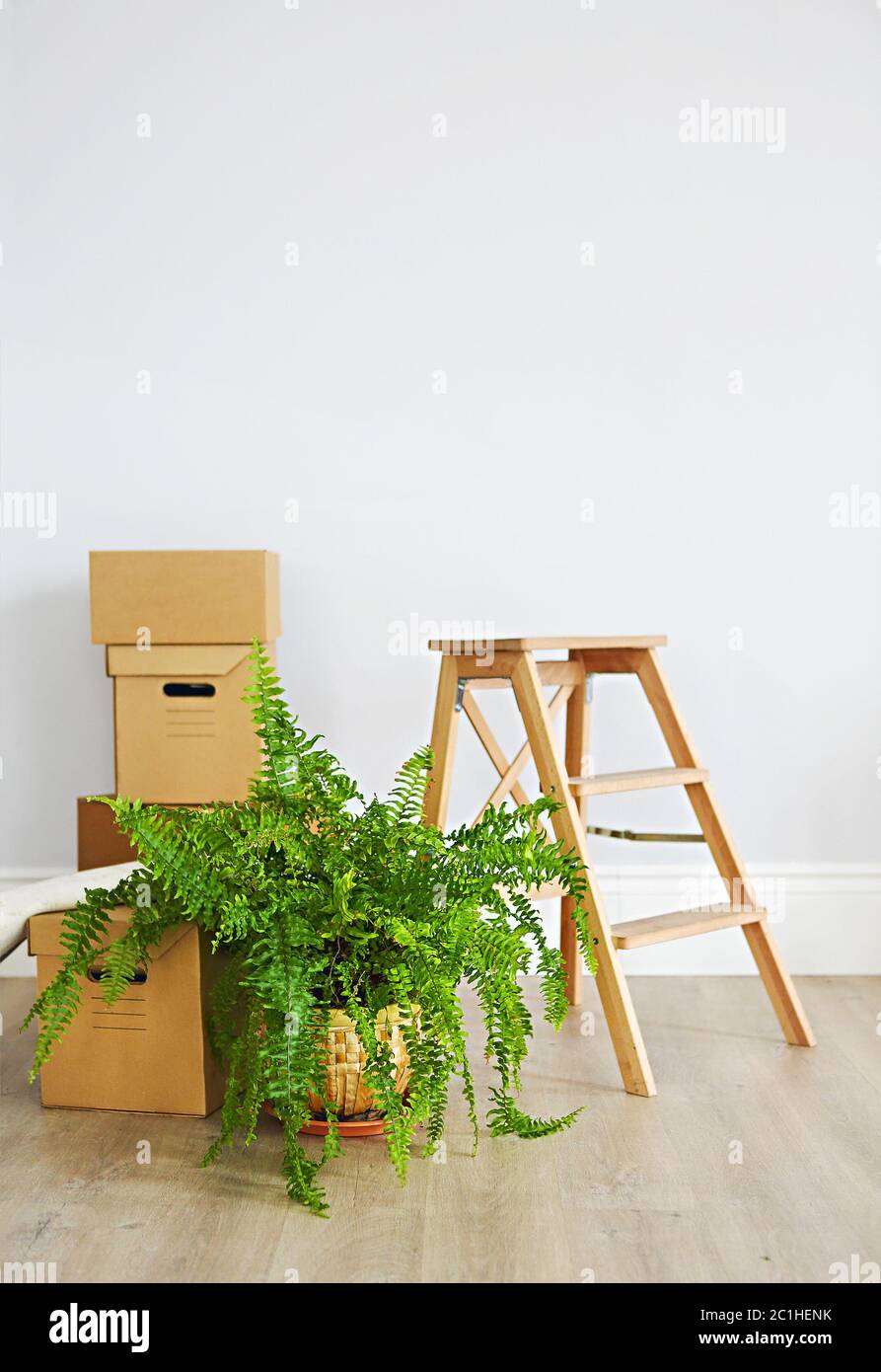 Many open cardboard boxes hi-res stock photography and images - Alamy