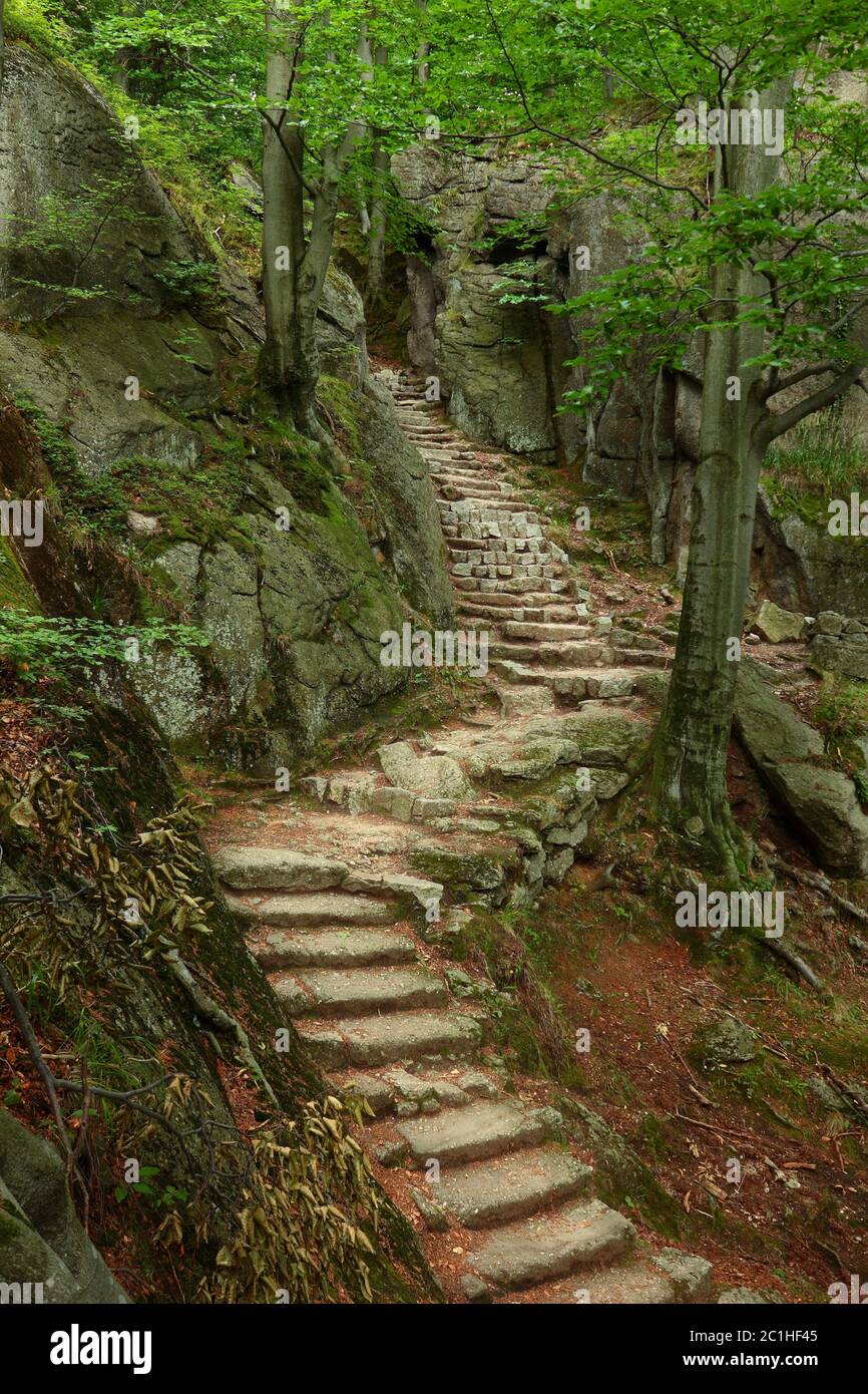 Stairs between rocks Stock Photo - Alamy