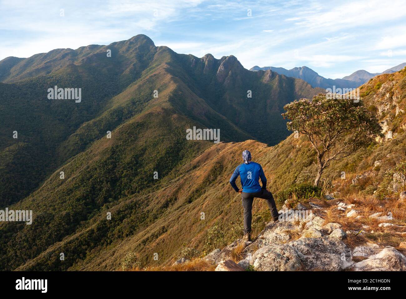 Unrecognized people hi-res stock photography and images - Alamy