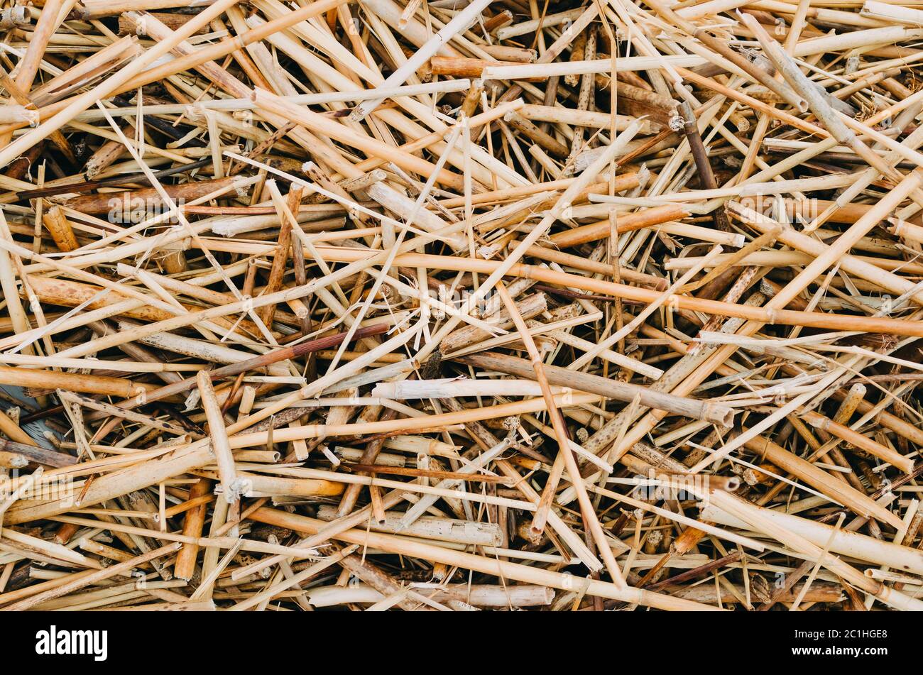 Dry yellow straw grass background texture after havest Stock Photo - Alamy