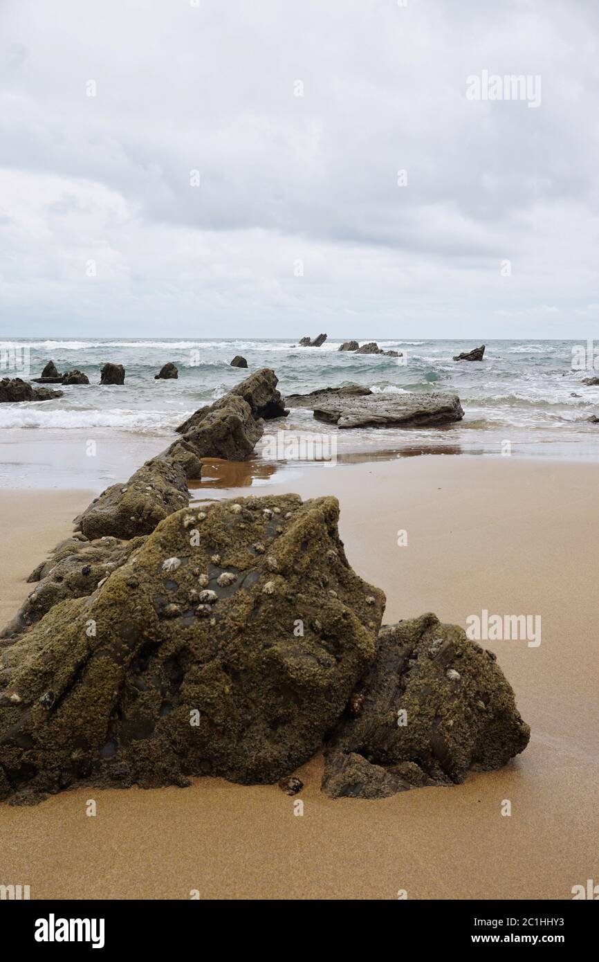 sand and rocks in the beach Stock Photo - Alamy