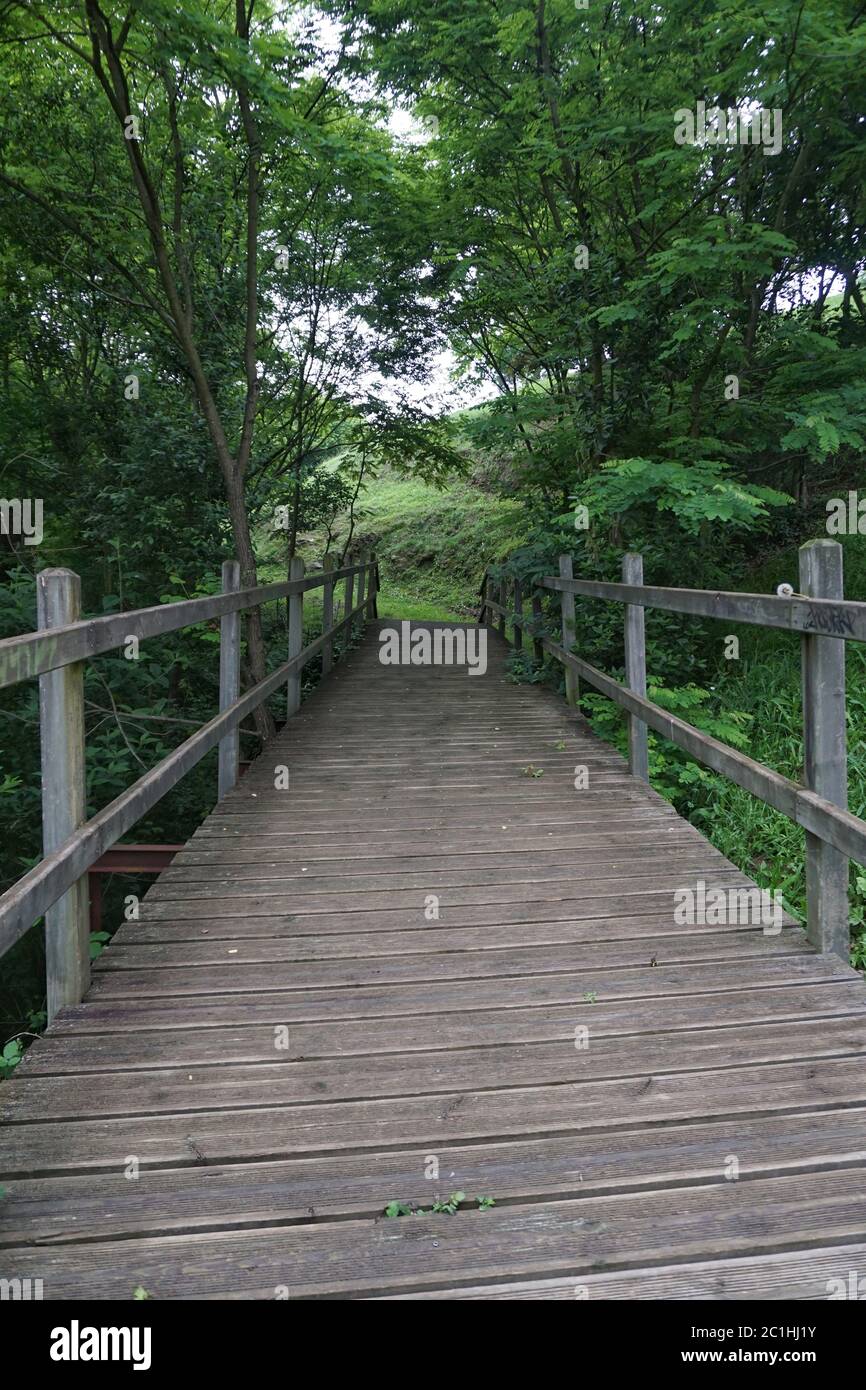 bridge in the forest Stock Photo - Alamy