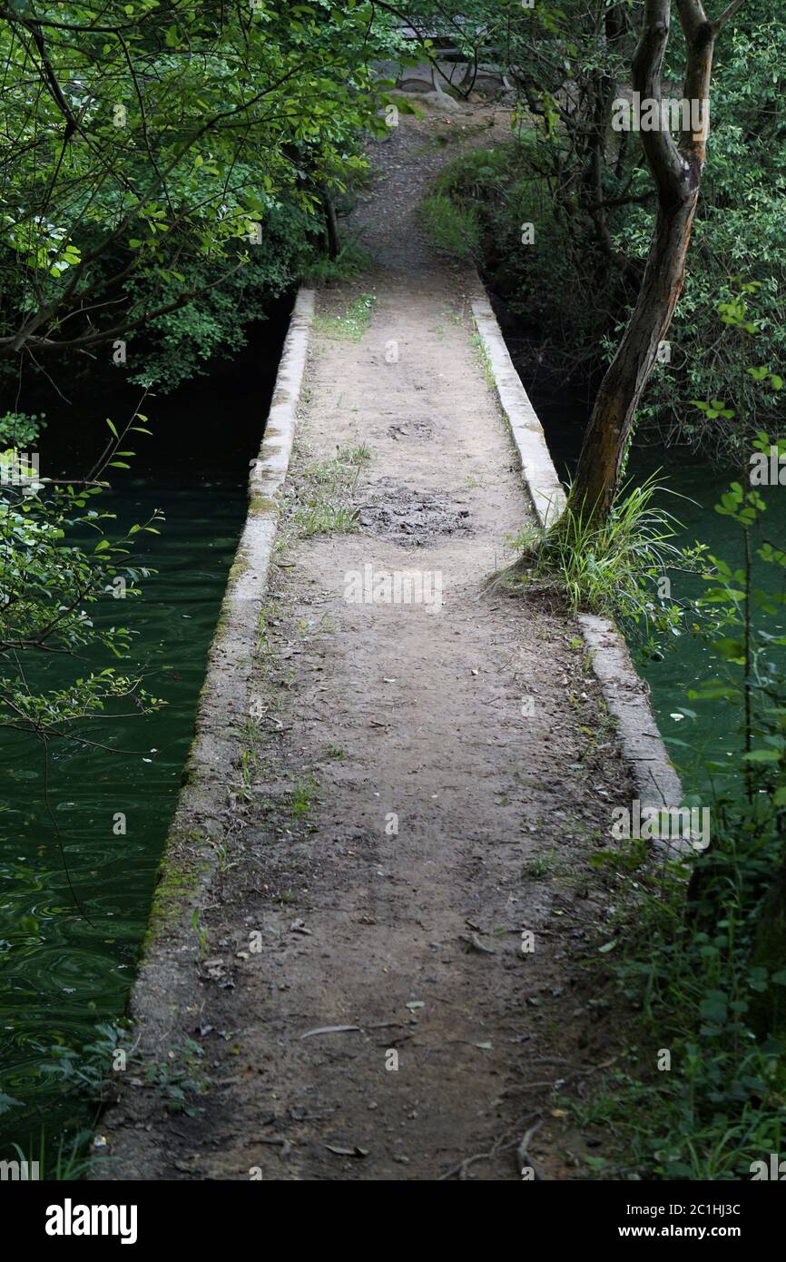 bridge in the forest Stock Photo - Alamy