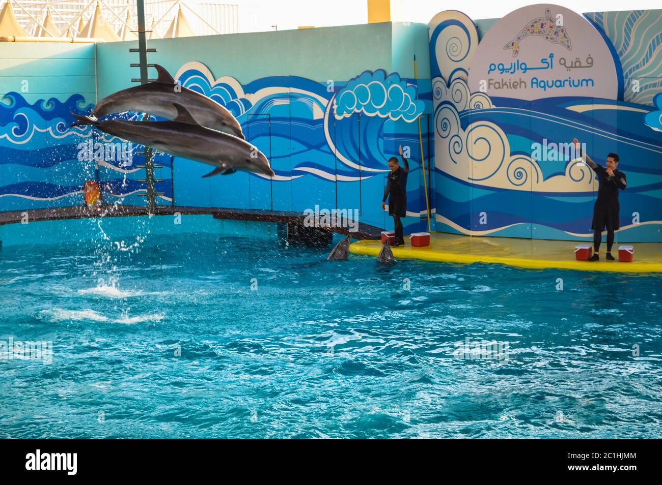 Dolphin show in Jeddah, Saudi Arabia Stock Photo - Alamy