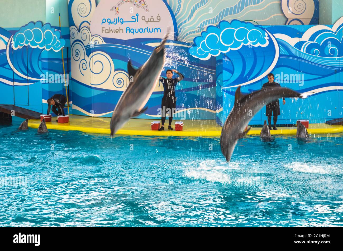 Dolphin show in Jeddah, Saudi Arabia Stock Photo - Alamy