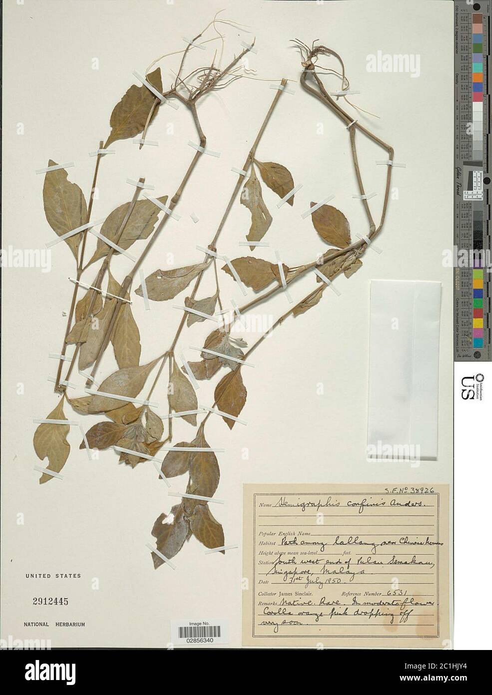 Confinis hi-res stock photography and images - Alamy