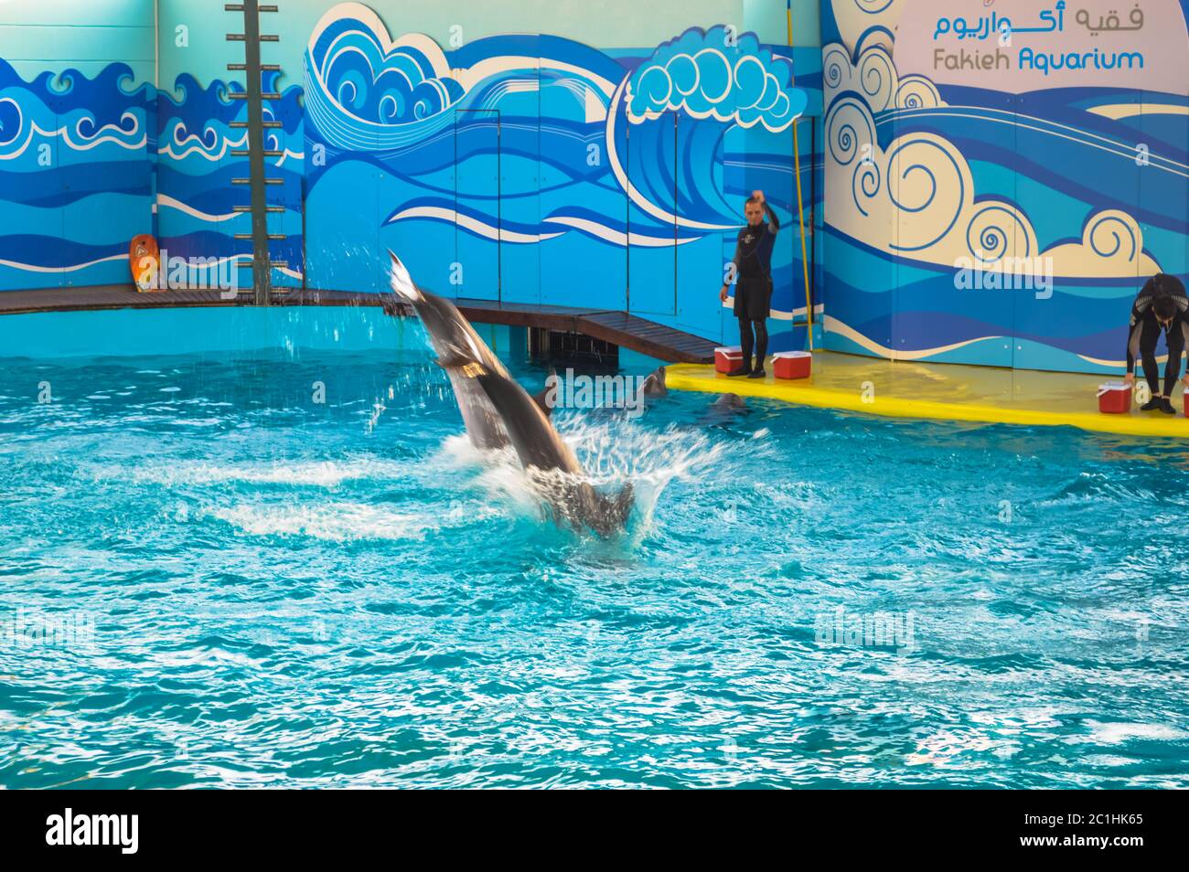 Dolphin show in Jeddah, Saudi Arabia Stock Photo - Alamy
