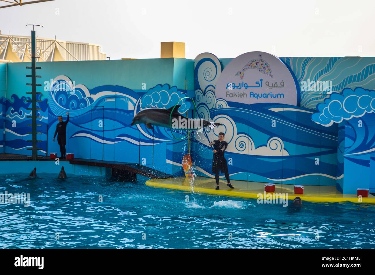 Dolphin show in Jeddah, Saudi Arabia Stock Photo - Alamy