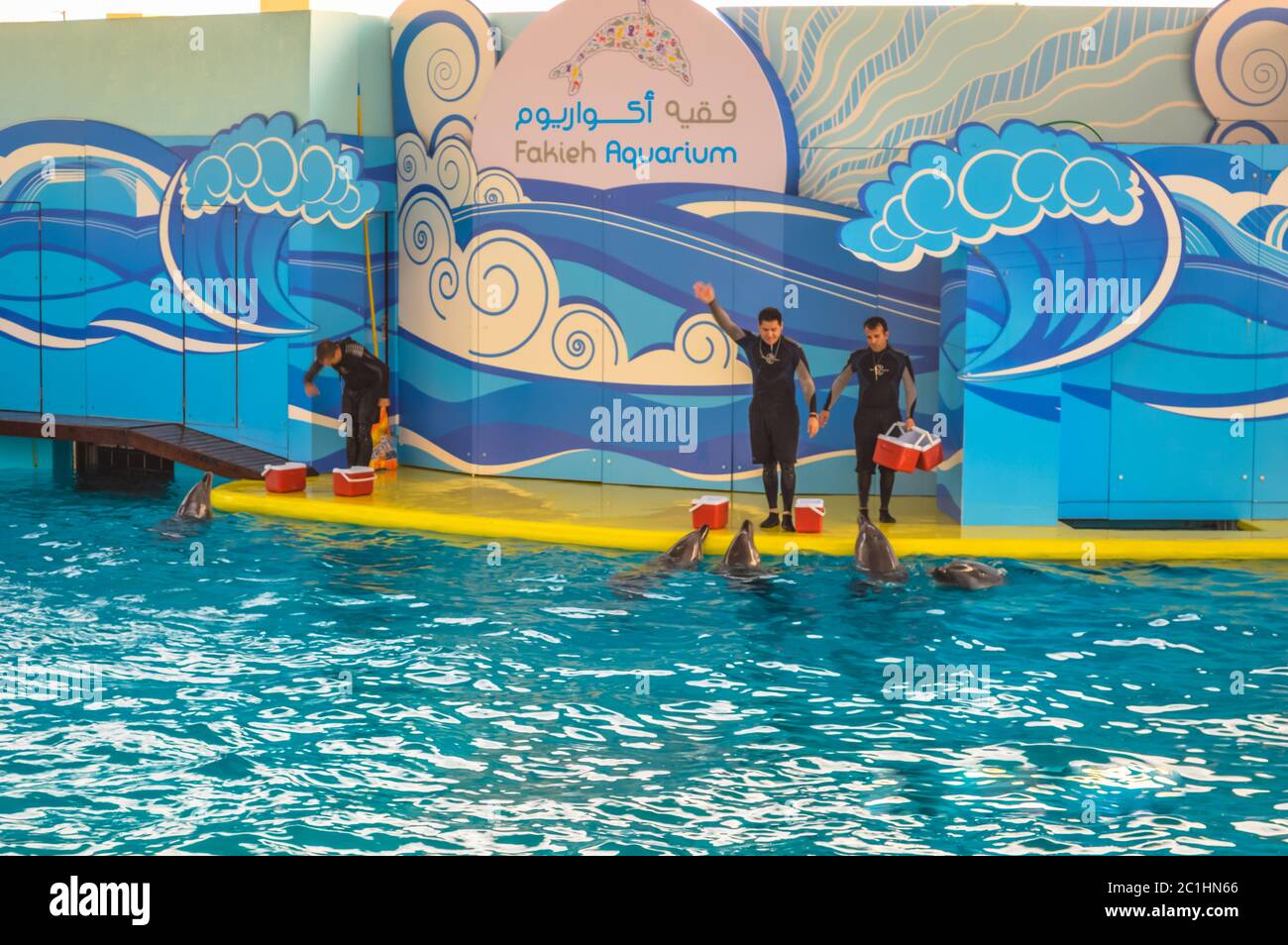 Dolphin show in Jeddah, Saudi Arabia Stock Photo - Alamy