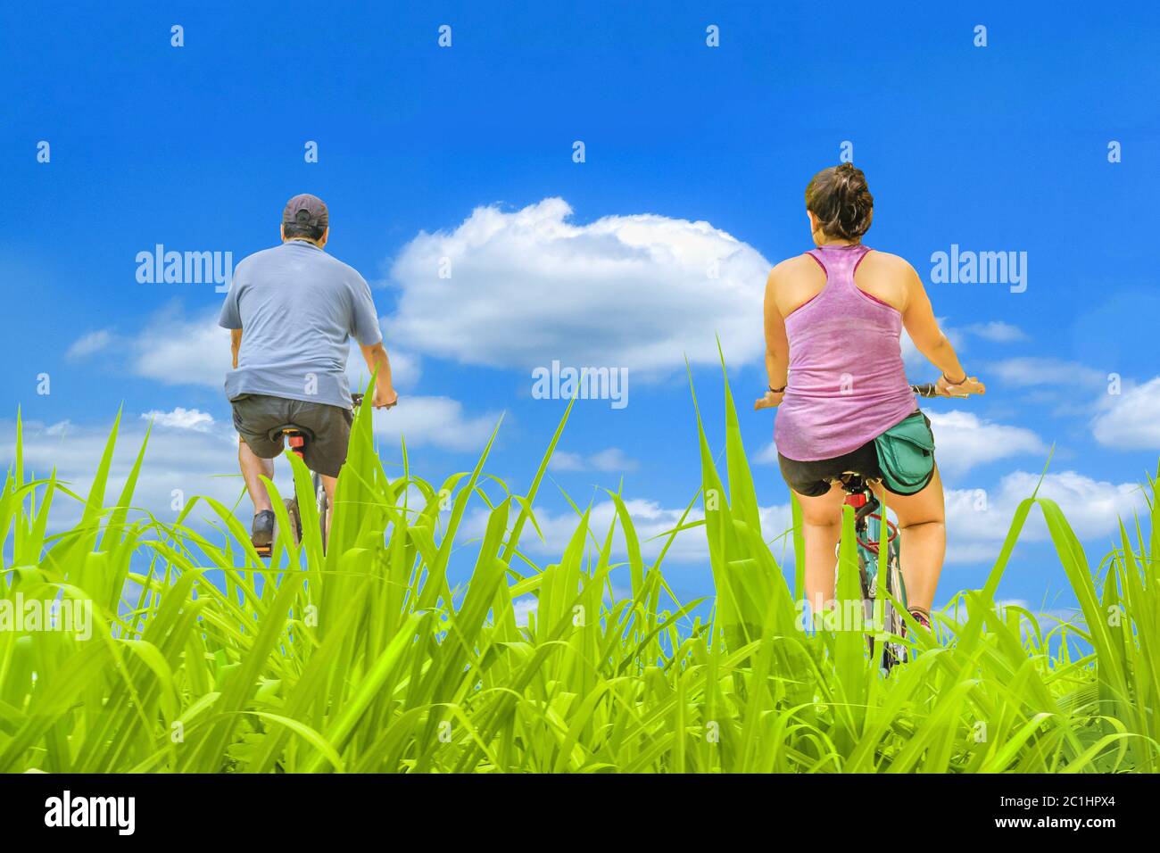 Bright Day Field Background Stock Photo - Alamy
