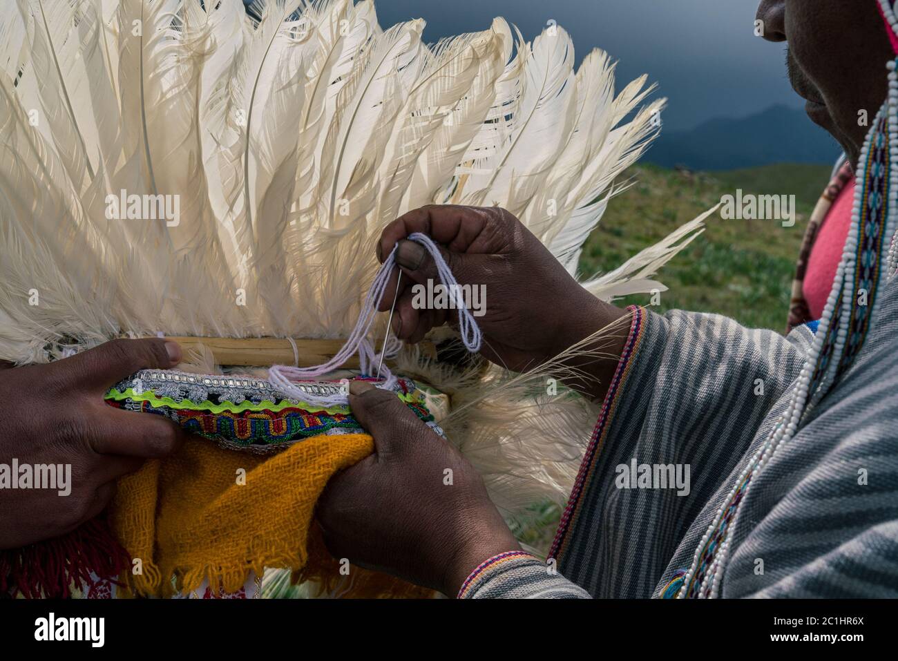 Bird life peru hi-res stock photography and images - Alamy