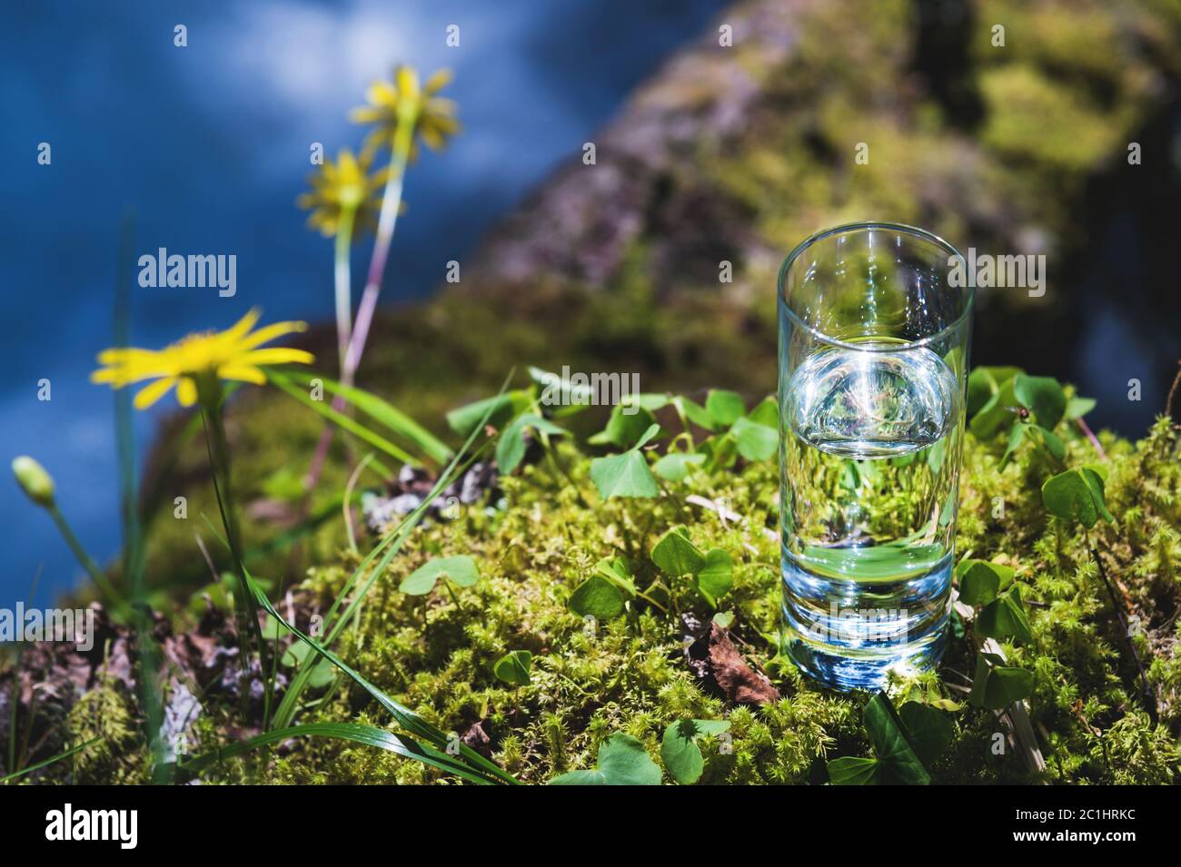 Clear green liquid hi-res stock photography and images - Alamy