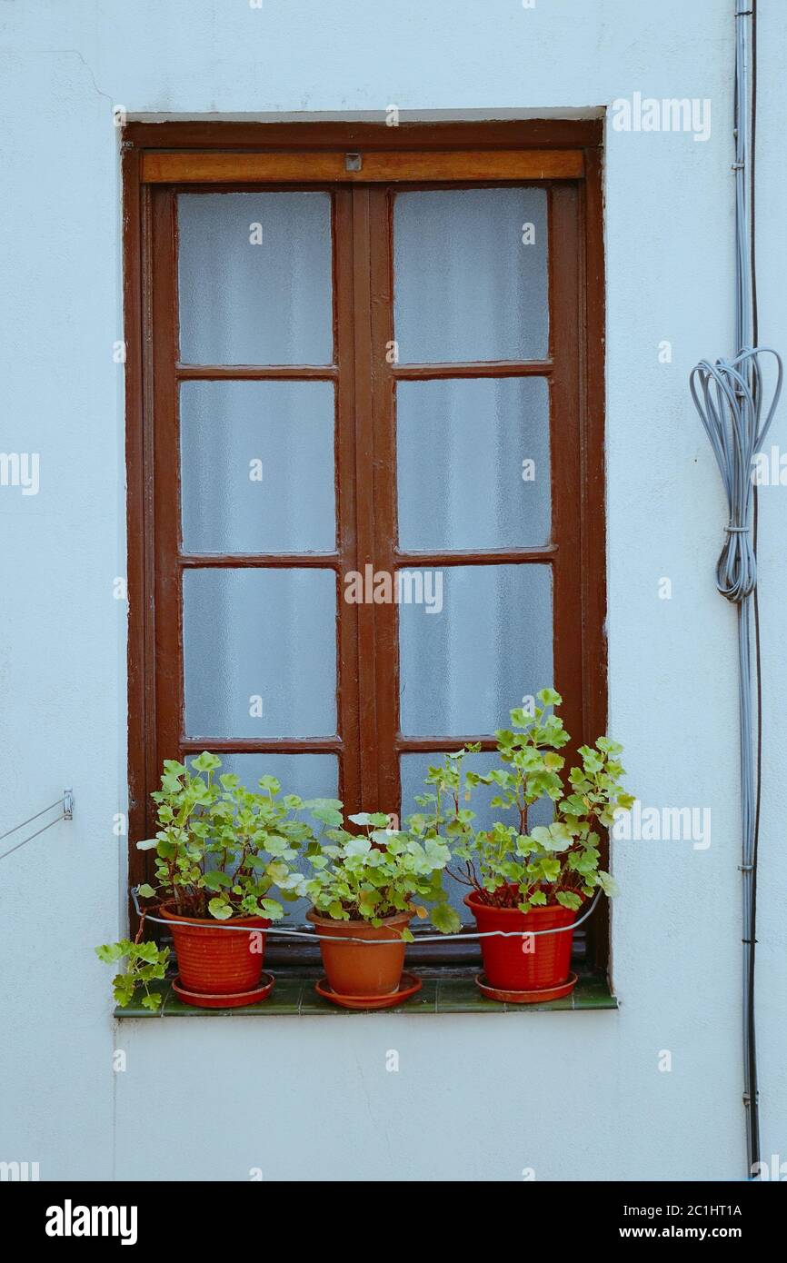 windows in the facade Stock Photo - Alamy