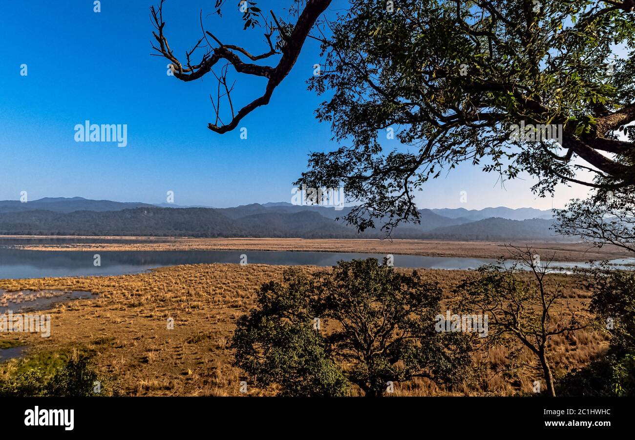 Panorama of Ramganga River in Jim Corbett National Park, India Stock ...